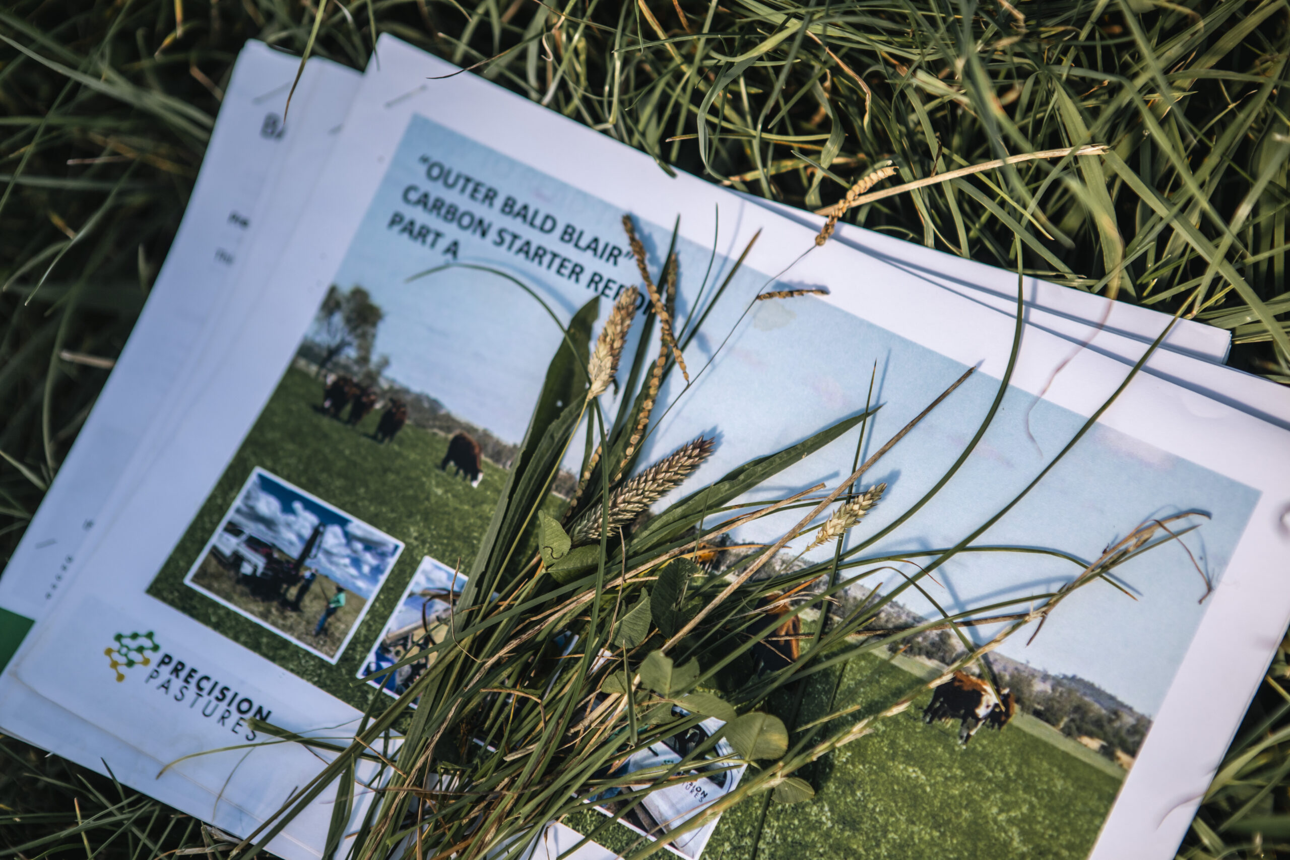 Critical decision points when undertaking a soil carbon project ...